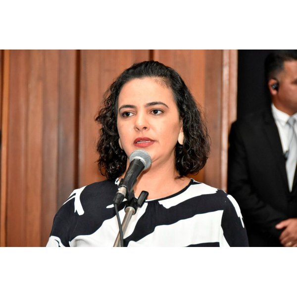 Em meio a debate nacional, Gleice Jane defende reestatização da energia ...